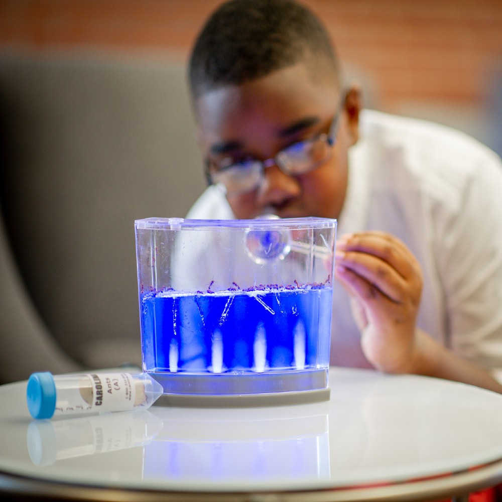 At Home Critters | Carolina Biological Supply