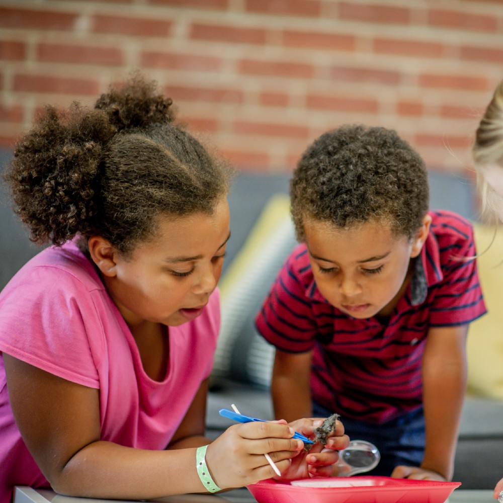 At Home Dissection | Carolina Biological Supply