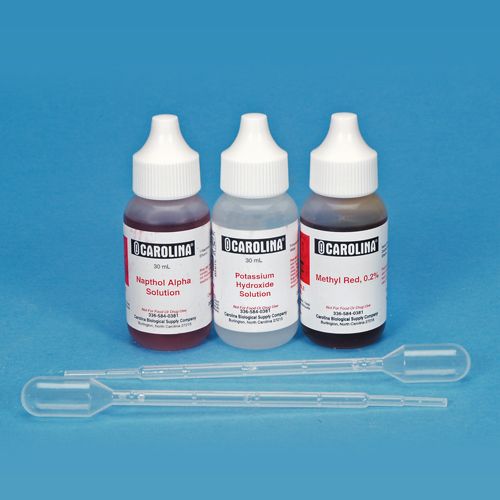 Biological Media Stains & Reagents | Carolina Biological Supply