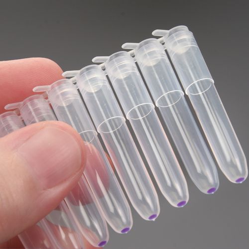 Plasmid And Lambda Dna Carolina Biological Supply 6405