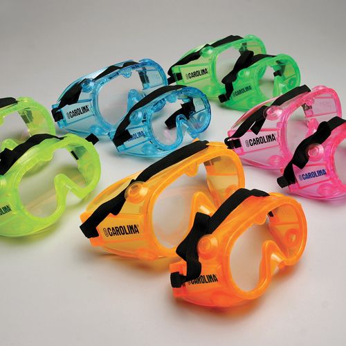 Lab Eye Protection | Carolina.com