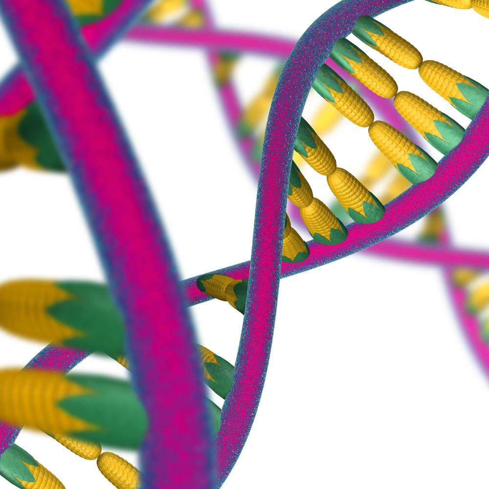 Genetics Kits | Carolina Biological Supply