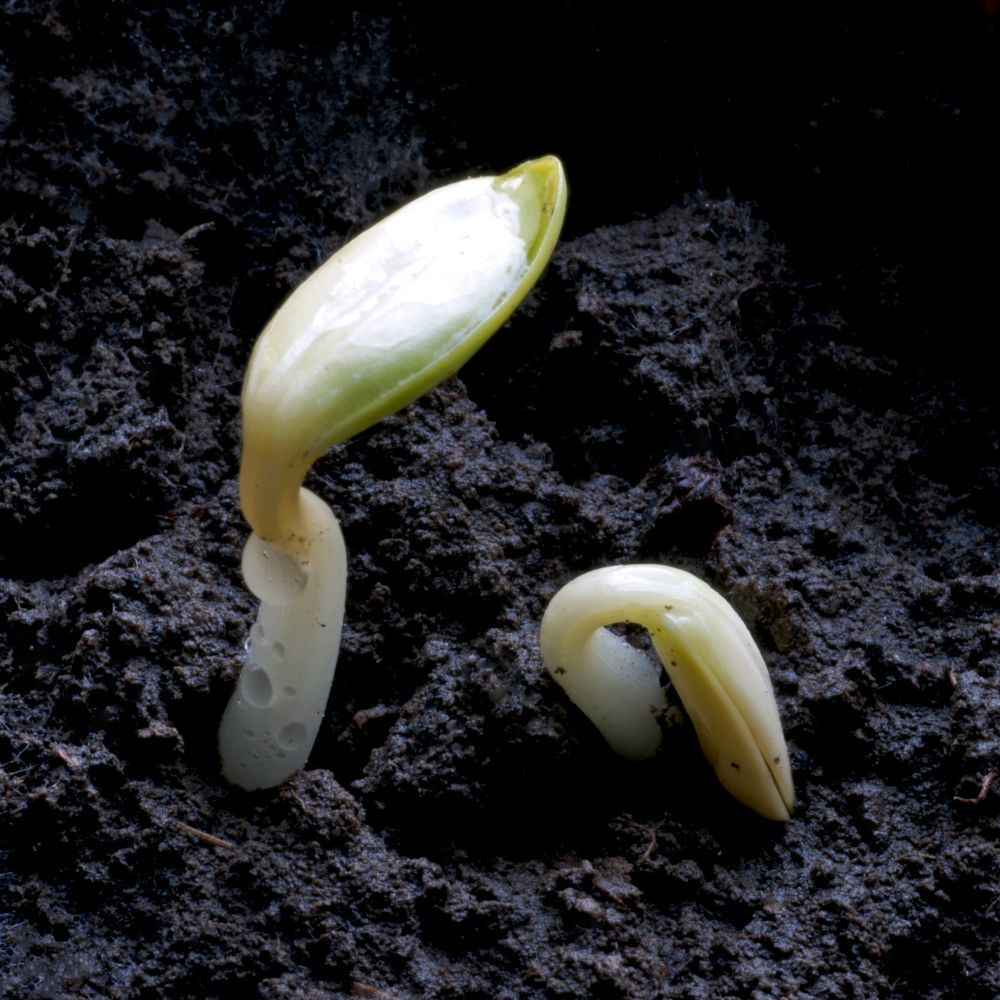 Life Science Kits | Carolina Biological Supply