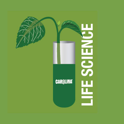 Instructional Segments and Hands-On Kits for 3D High School Life ...