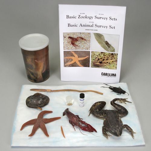 Multi-Organism Dissection Kits | Carolina.com