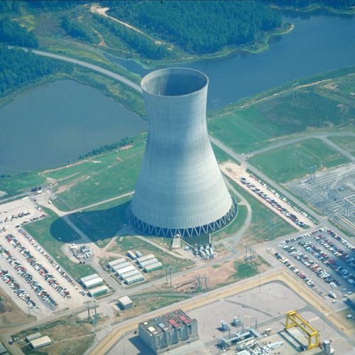 Nuclear Energy | Carolina.com