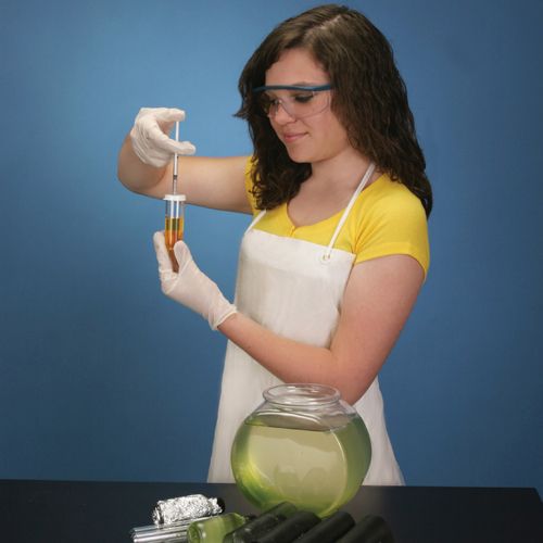 AP Biology Labs for the Traditional Curriculum | Carolina Biological Supply