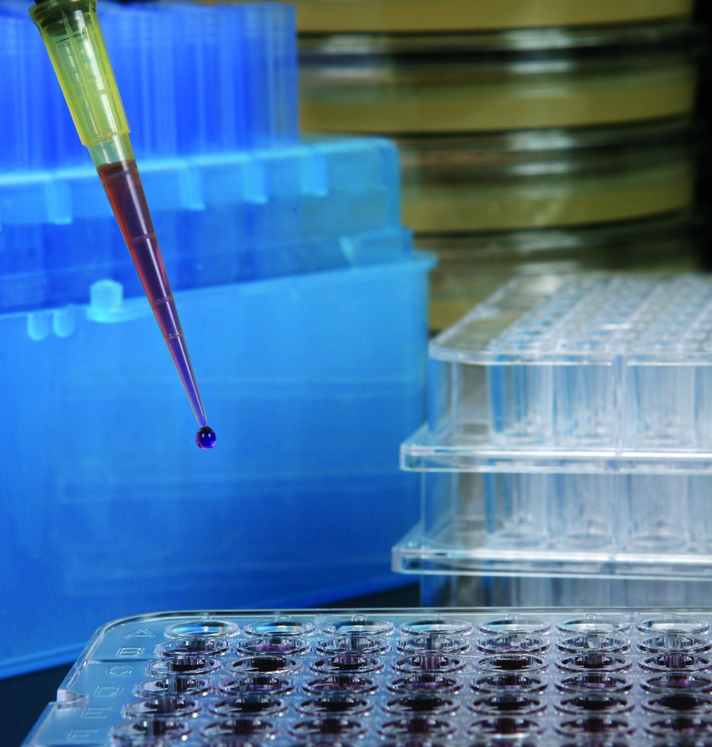 Virtual Support Biotechnology Kits | Carolina Biological Supply