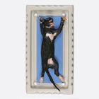 Preserved Animals (Mammals) | Carolina.com