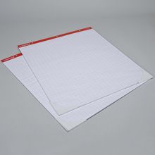 Paper, Graphing Chart, 25 x 30", Pad of 50 Sheets, Pack of 2 | Carolina ...