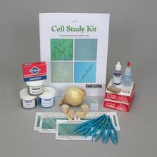 Carolina BioKits®: Cell Study, Living | Carolina Biological Supply