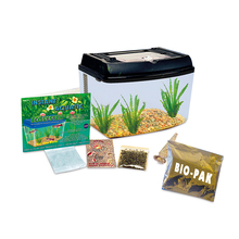 Triassic Triops Deluxe Kit | Carolina Biological Supply