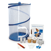 Butterflies in the Classroom Kit (with live caterpillars) | Carolina ...