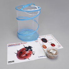 Ladybugs Amazing Bugs® Kit | Carolina Biological Supply