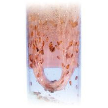 Fruit Flies, Culture | Carolina Biological Supply