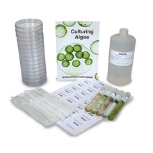 Algae Culture Kit, Living | Carolina Biological Supply