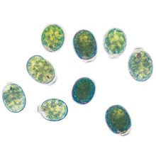 Euglenoids, Living | Carolina Biological Supply