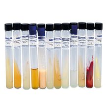 Advanced High School Bacteria Collection Set, Living | Carolina ...