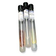 Introductory Bacteria Set, Living, Tube Cultures | Carolina Biological ...