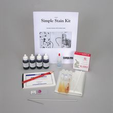 Simple Stain Kit | Carolina Biological Supply
