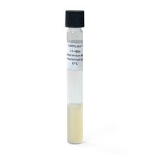 Halobacterium sp. NRC-1, Living, Tube | Carolina Biological Supply