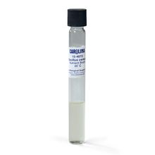 Bacillus cereus, Living, Nutrient Broth, Tube | Carolina Biological Supply