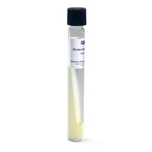 Enterobacter cloacae, Living, Tube | Carolina Biological Supply