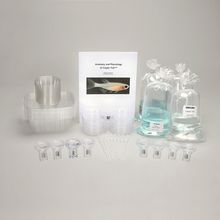 Anatomy and Physiology of Casper Fish™ Basic Kit | Carolina.com