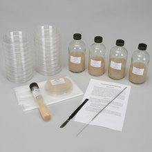 Carolina Carnivorous Fungus Kit | Carolina Biological Supply