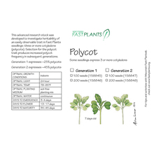 Wisconsin Fast Plants® Polycot Generation 1 Seeds, Pack of 100 ...