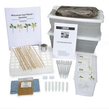 Wisconsin Fast Plants® Who's the Father? Investigating Genetics Kits ...