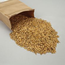 Seed, Monocot, 1 lb | Carolina Biological Supply