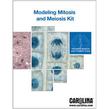 Modeling Mitosis and Meiosis Digital Resources | Carolina Biological Supply