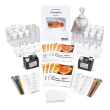 Carolina BioKits®: Drosophila 8-Station Kit (with voucher) | Carolina ...