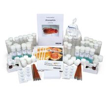Carolina BioKits®: Drosophila 8-Station Kit (with voucher) | Carolina ...