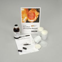 FlyNap®/Anesthetizer Kit | Carolina Biological Supply