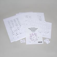 Carolina BioKits®: Human Chromosome Analysis Advanced Kit | Carolina ...