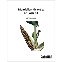 Mendelian Genetics of Corn Digital Resources | Carolina Biological Supply
