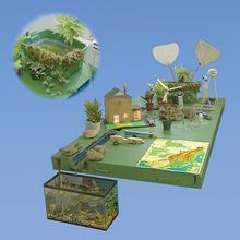 Carolina® Classroom River Kit | Carolina Biological Supply