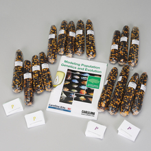 Modeling Population Genetics and Evolution Kit | Carolina Biological Supply