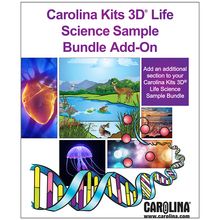 Carolina Kits 3D® Life Science Sample Bundle Section Add-On | Carolina ...