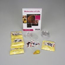 Carolina BioKits®: Molecules of Life | Carolina Biological Supply