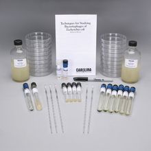 Disease Prevention Kit (with voucher) | Carolina.com
