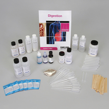 Carolina BioKits®: Digestion | Carolina Biological Supply