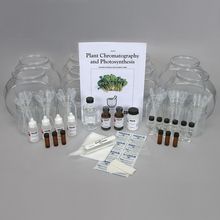 Plant Chromatography and Photosynthesis Kit | Carolina Biological Supply