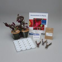 Carolina BioKits®: Homeostasis in Plants | Carolina Biological Supply