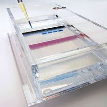 Fast Gels 4-Station Student Kit, with voucher | Carolina Biological Supply