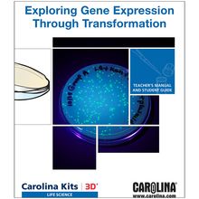 Exploring Gene Expression Through Transformation Digital Resources ...