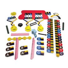 Protein Synthesis Model Project How Is DNA Turned Into Protein? The