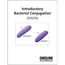Introductory Bacterial Conjugation Digital Resources | Carolina ...